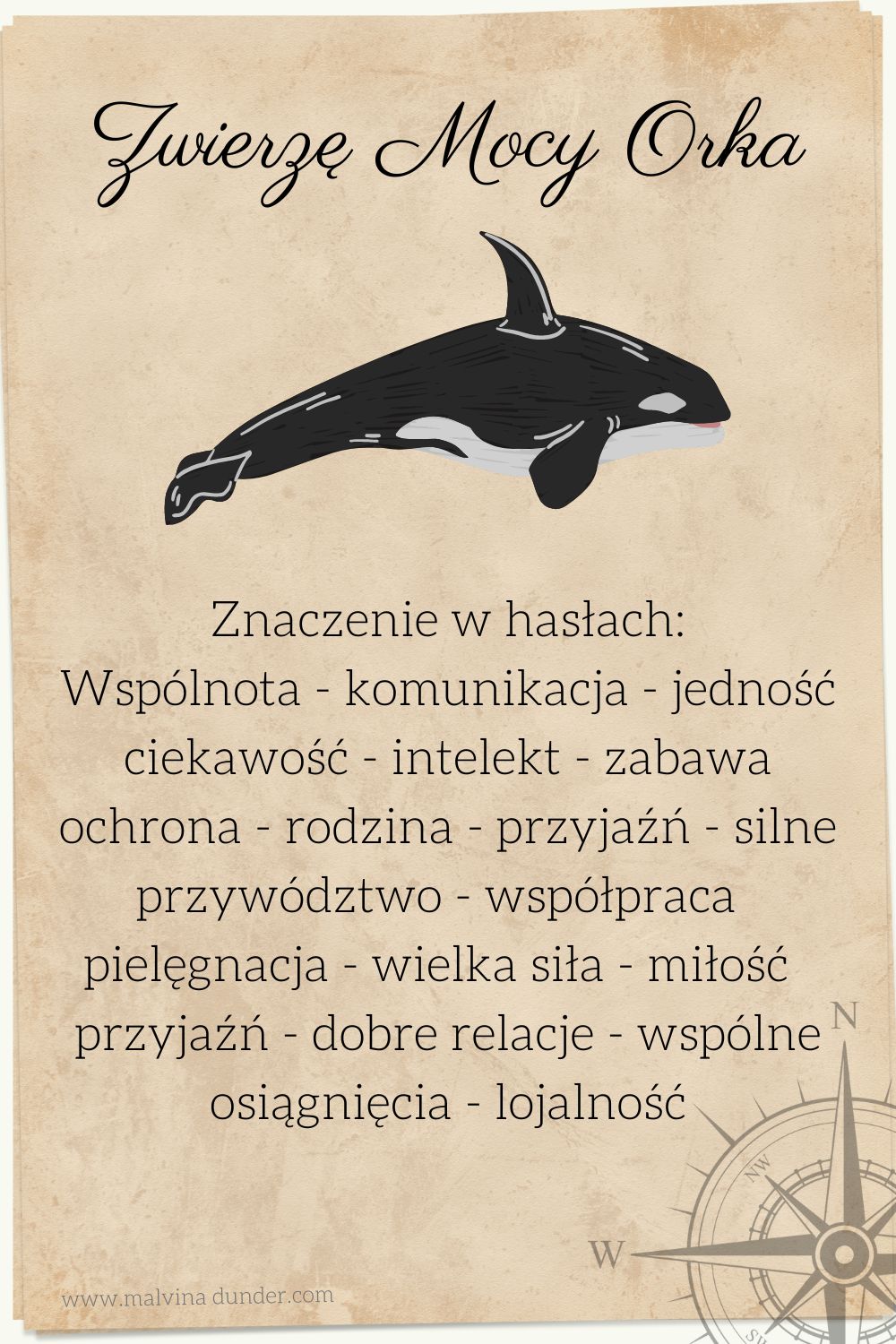 Zwierzę Mocy Orka znaczenie – symbol wspólnoty, siły, ochrony i mądrej ...