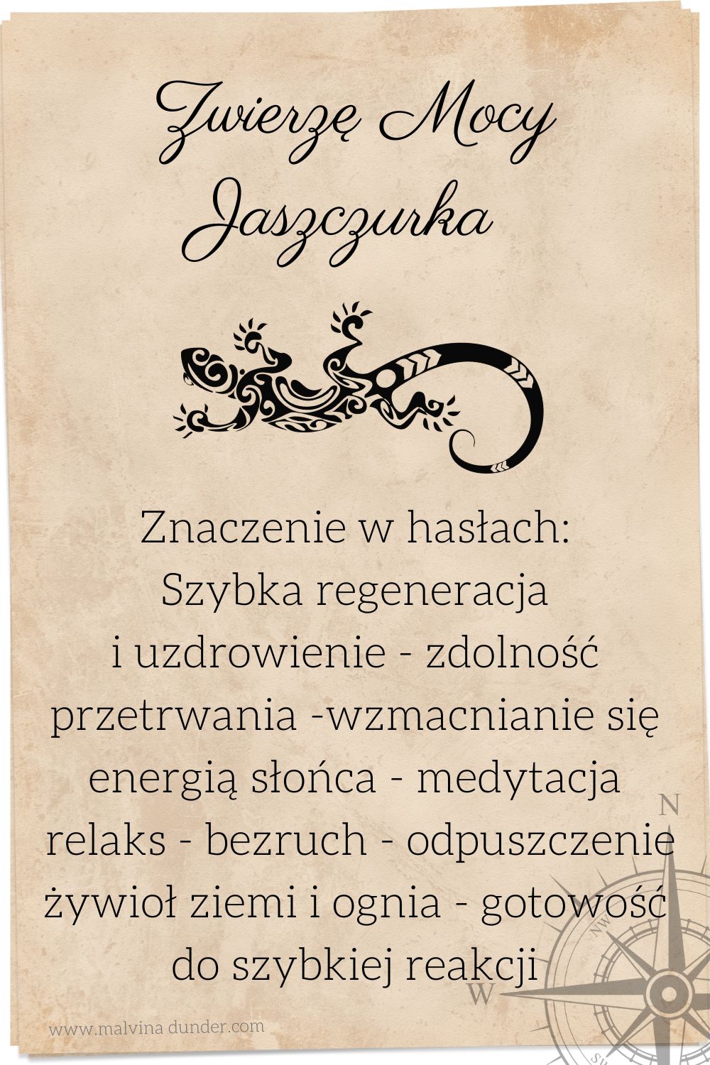 Zwierzę Mocy Jaszczurka znaczenie – regeneracja, cisza i moc słońca ...