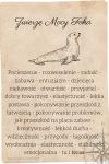 Zwierzę Mocy Foka znaczenie – pocieszenie, rozweselenie, zabawa ...