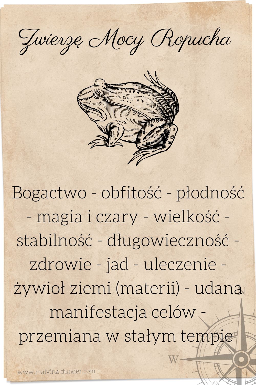 Zwierzę Mocy Żaba i Ropucha – symbolika, znaczenie, szczęście, bogactwo ...