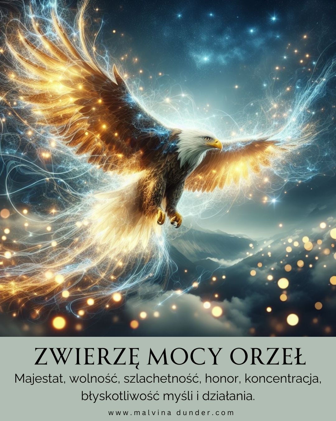 Zwierzę Mocy, Przewodnik Orzeł przesłanie i znaczenie – jasna wizja ...