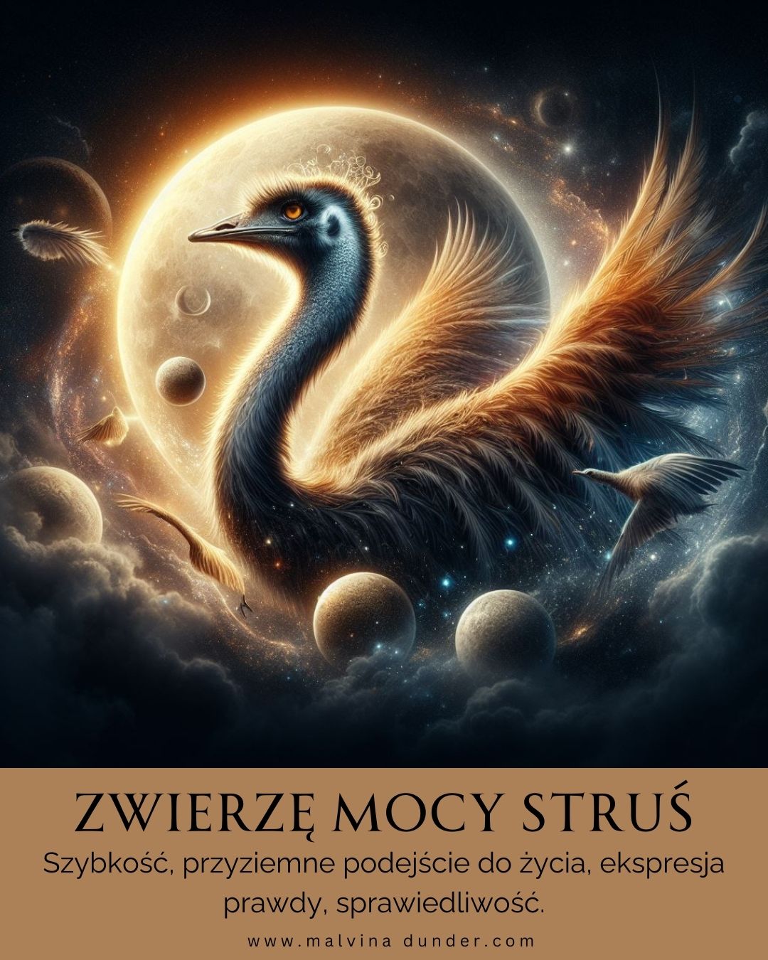 Zwierzę Mocy Struś znaczenie, symbolika – siła ziemi, szybkość ...