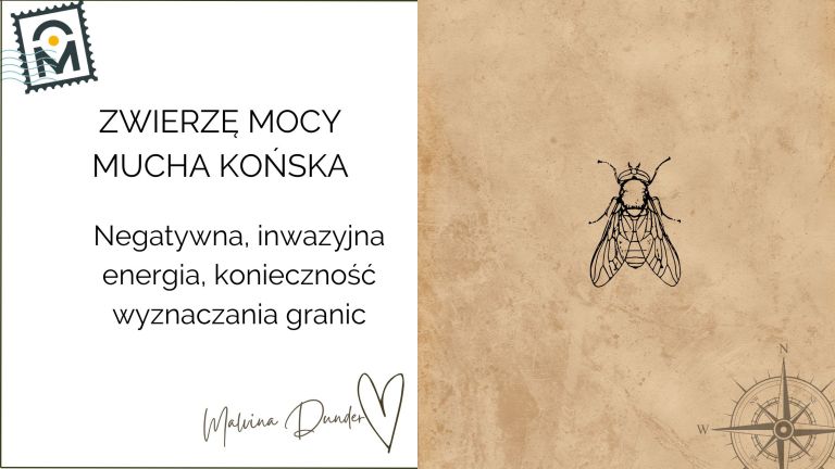 Zwierzęta Mocy – Malvina Dunder